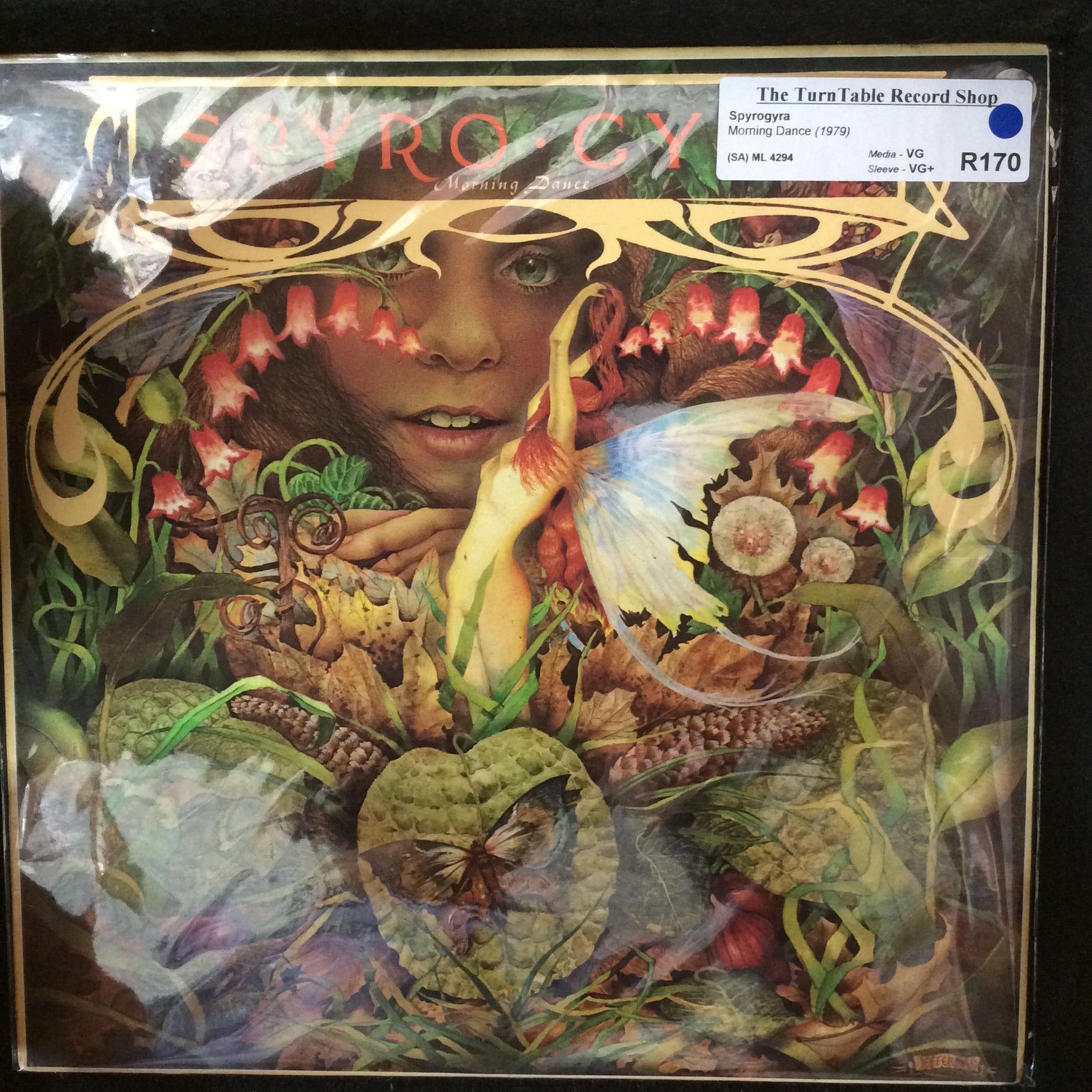 Spyro Gyra - Morning Dance – The TurnTable Record Shop
